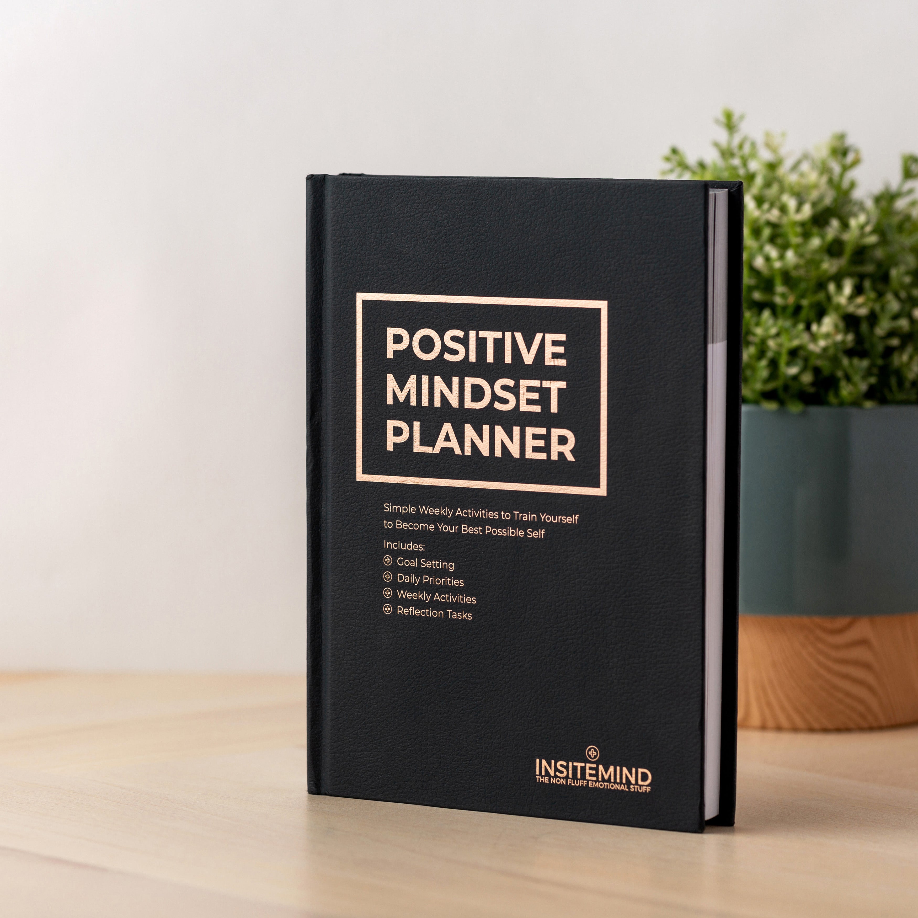 Positive Mindset Planner – INSITE MIND